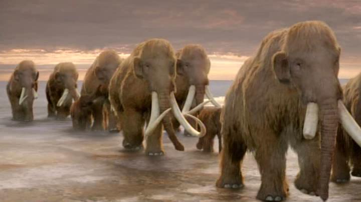 All animals from Ice Age Giants by kingrexy on DeviantArt